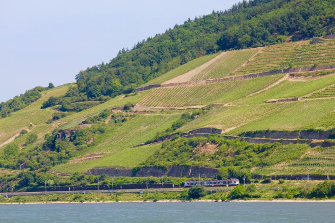 Viewing the Historic and Beautiful Castles during a Middle Rhein River ...